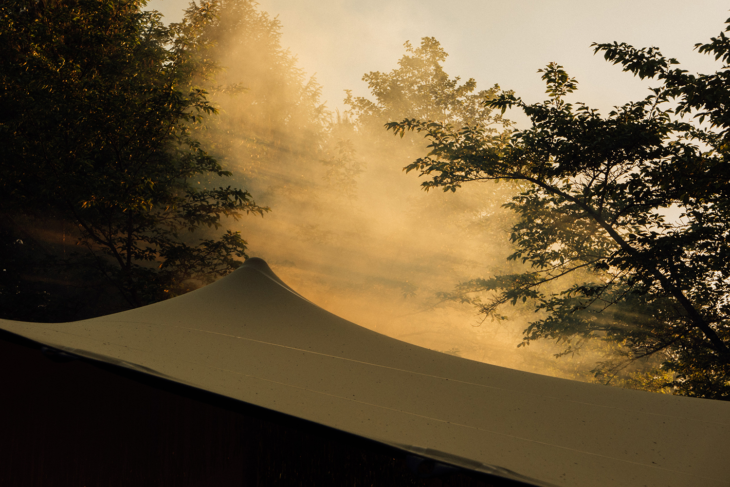 「音楽・アート・キャンプ」がいっぺんに楽しめる！ 野外フェス「FFKT」が信州「こだまの森」で開催【2023年5月27日・28日 ...