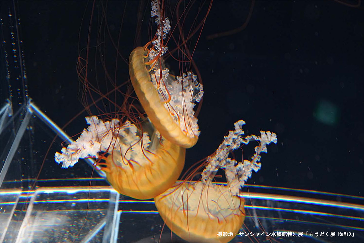 doku4_02 | soto lover - ソトラバ