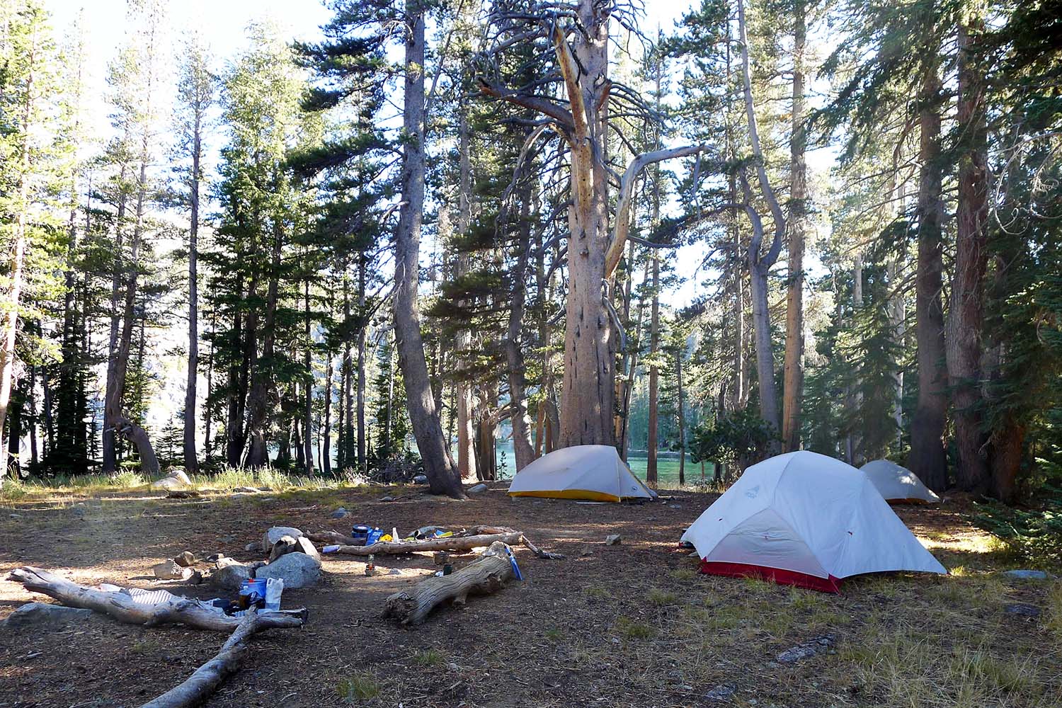 inoue_yuzu_California_camp6 | soto lover - ソトラバ