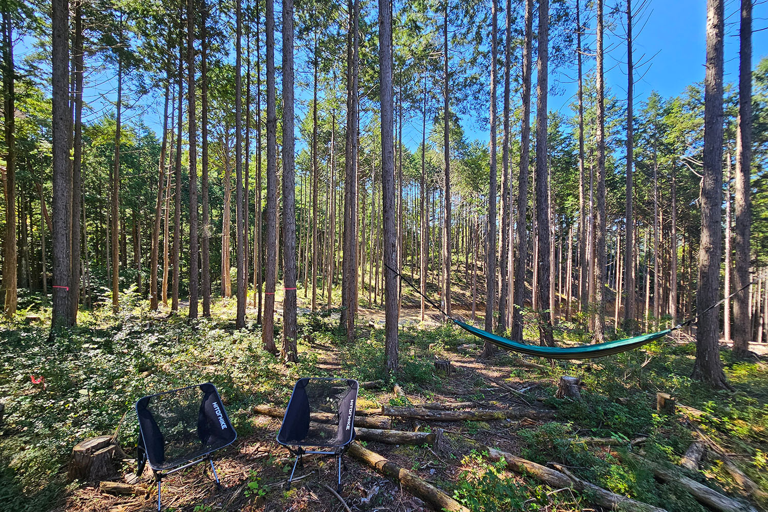 forenta_higashisirakawa16 | soto lover - ソトラバ