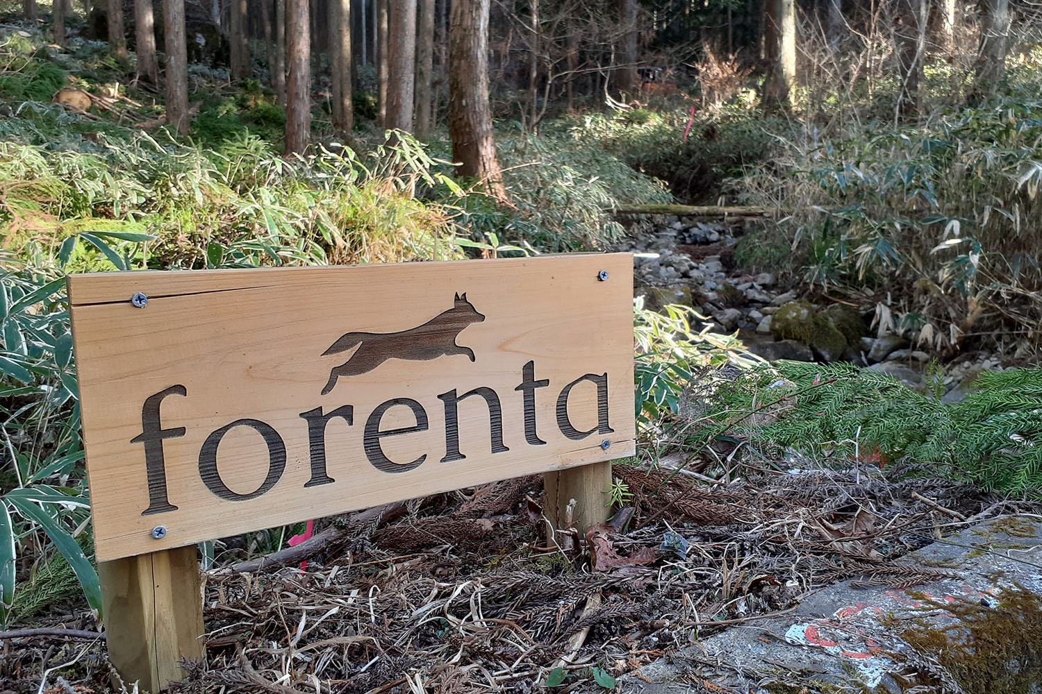 forenta_higashisirakawa16 | soto lover - ソトラバ