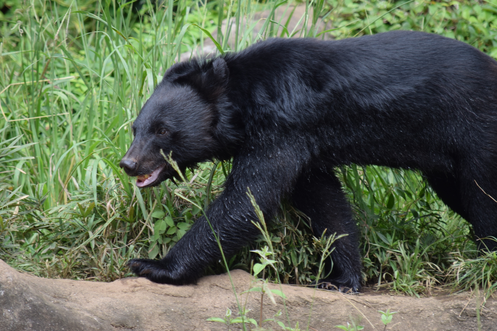 | soto lover - ソトラバ