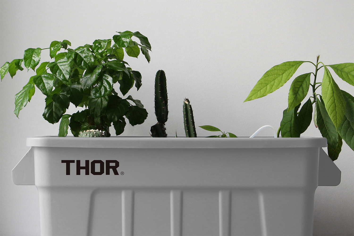 yahoo_thor_containerbox4 | soto lover - ソトラバ