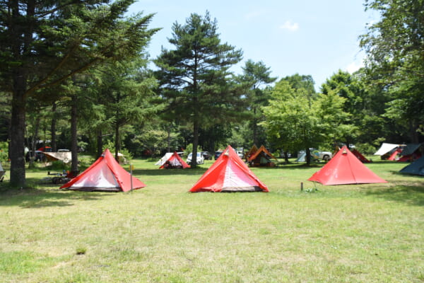 PANDA_02_DSC_2305_original | soto lover - ソトラバ