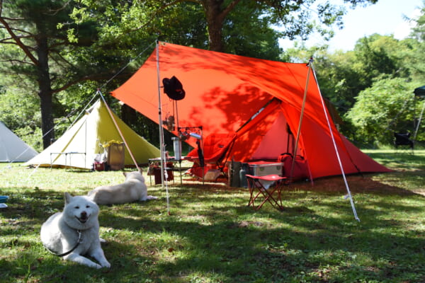 PANDA_02_DSC_2305_original | soto lover - ソトラバ