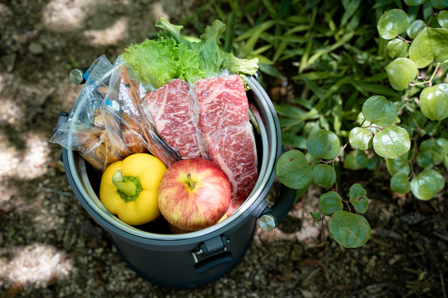 cooler_bucket_ign10011 | soto lover - ソトラバ