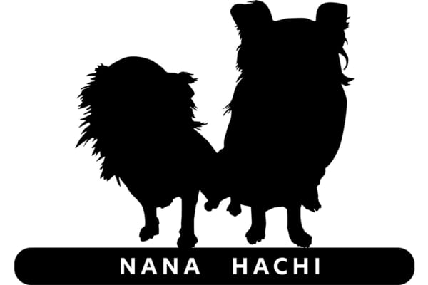 vantech_campingcar2 | soto lover - ソトラバ