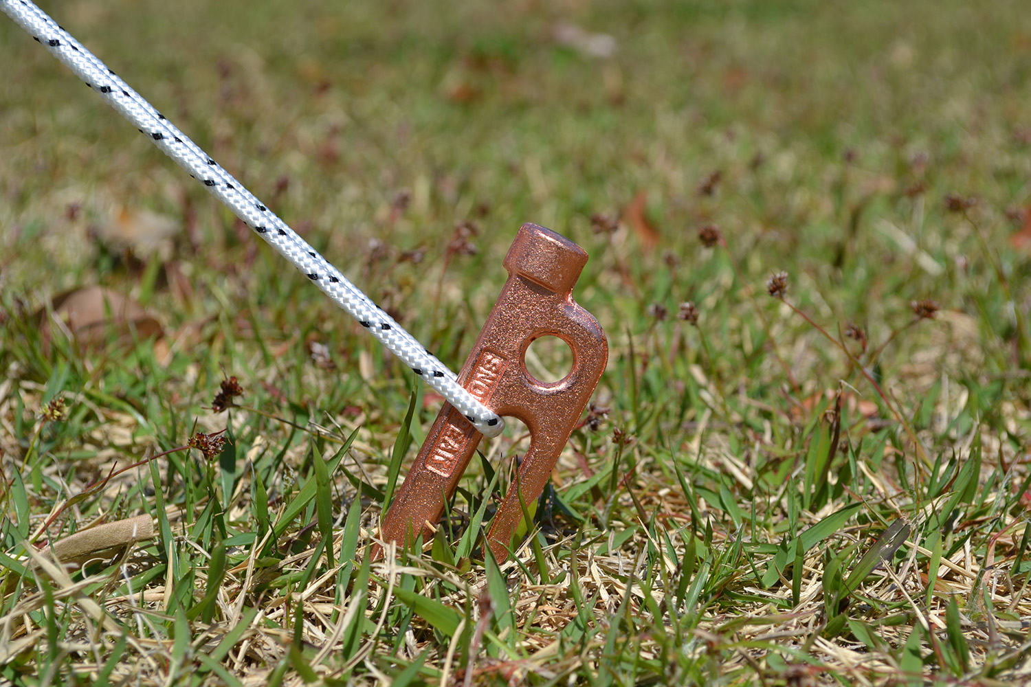 どれも同じだと思ってない？ 素材と形状で異なるキャンプの必需品「ペグ」の使い分け方とは | soto lover - ソトラバ