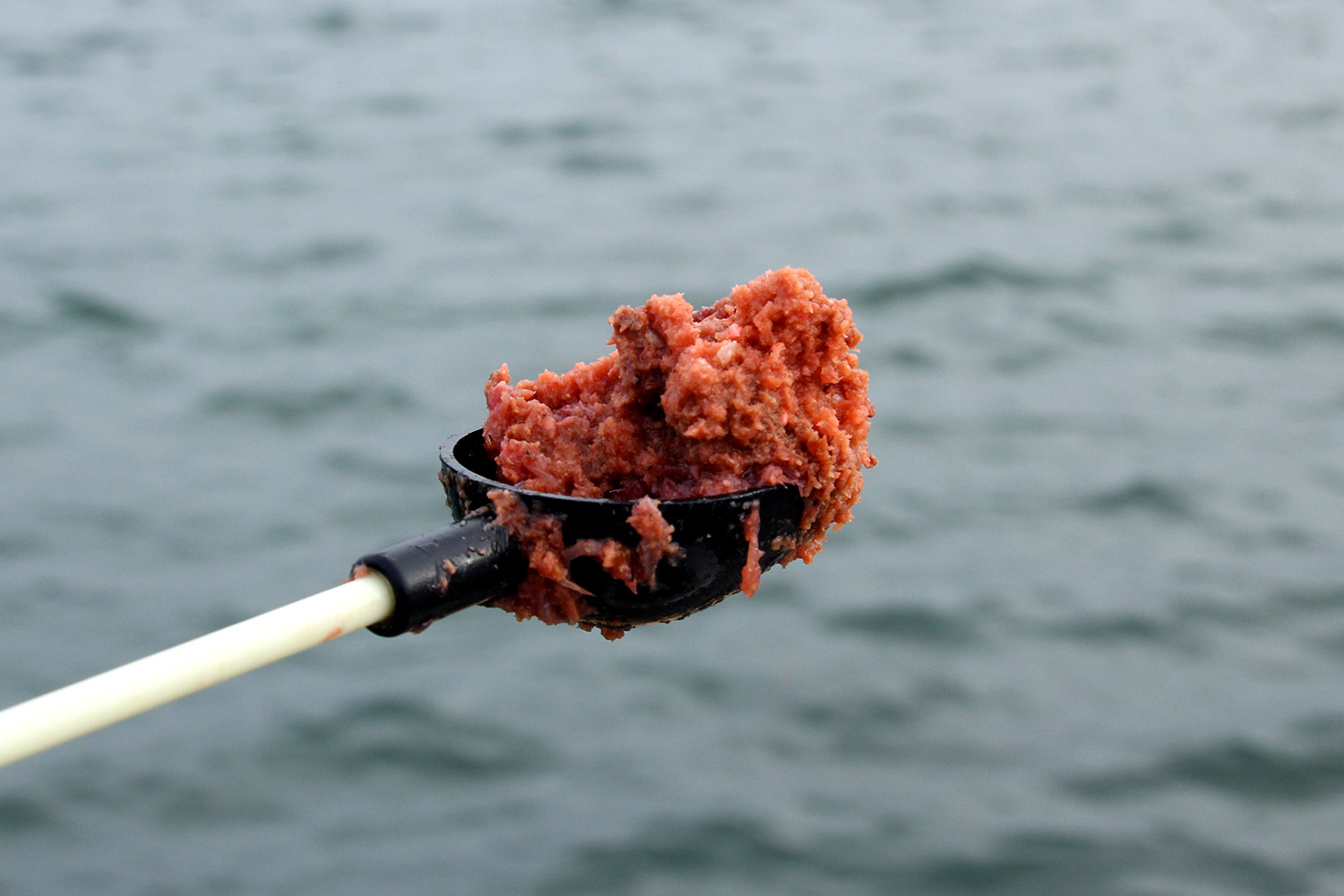 fishing_type6 | soto lover - ソトラバ