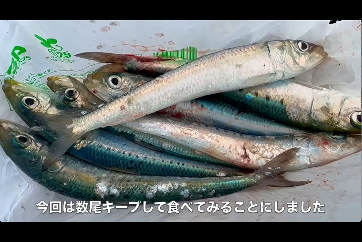takuwan_fishing05 | soto lover - ソトラバ