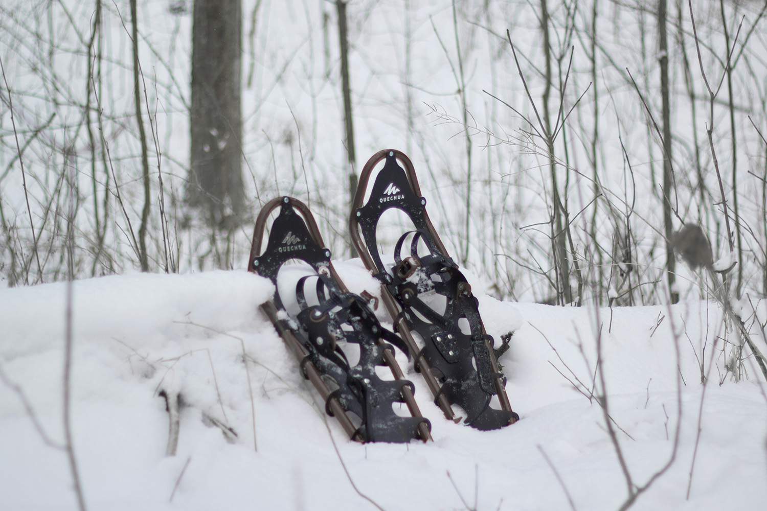 snow_shoe8 | soto lover - ソトラバ