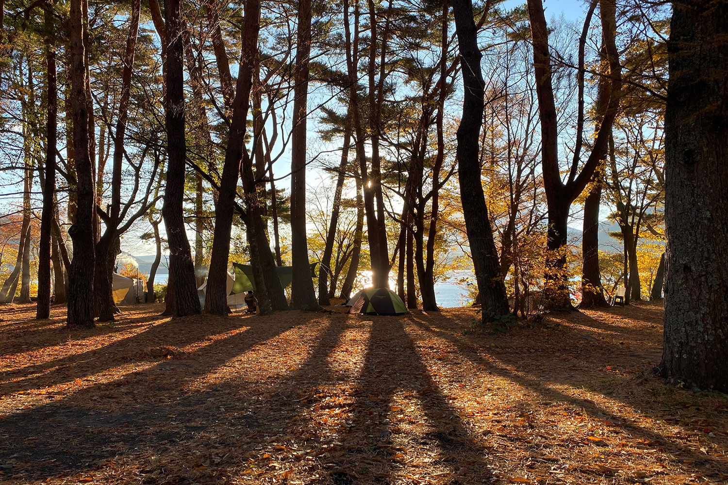 tent_setsuei_ng_2 | soto lover - ソトラバ