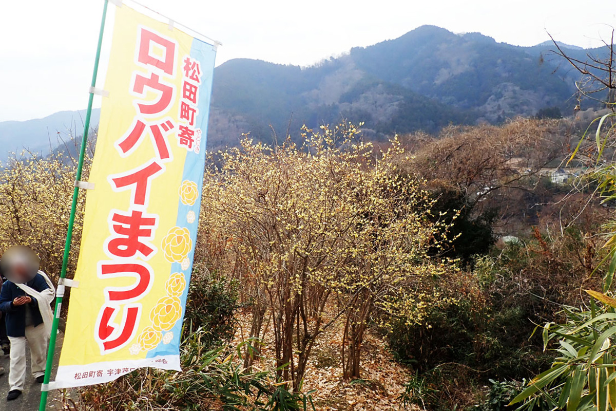 roubai_festival_10 | soto lover - ソトラバ