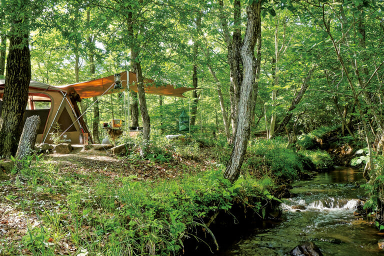 camp rabbit | soto lover - ソトラバ