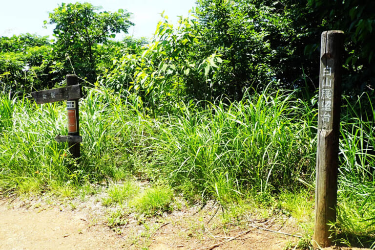 atsugihakusan_baystars06 | soto lover - ソトラバ